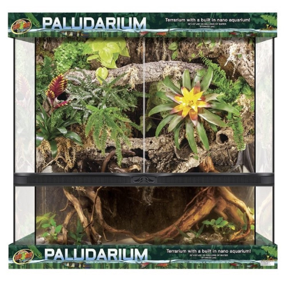 Paludarium planten: een uitgebreide gids voor de beste keuzes ...