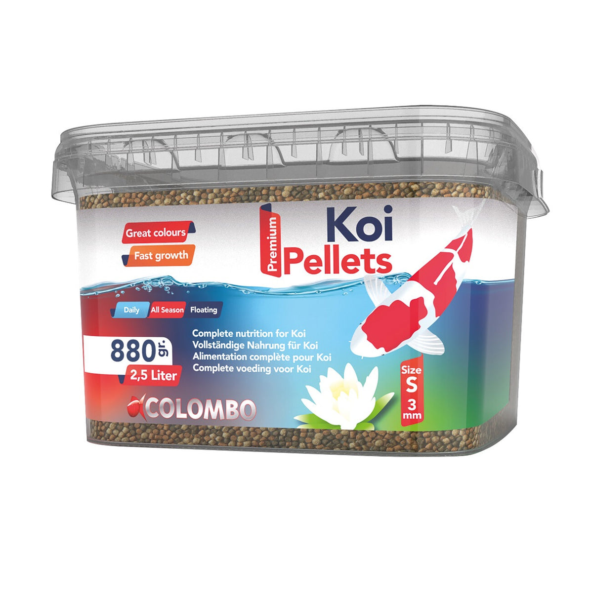 Colombo Koi — Aquariumplantenshop