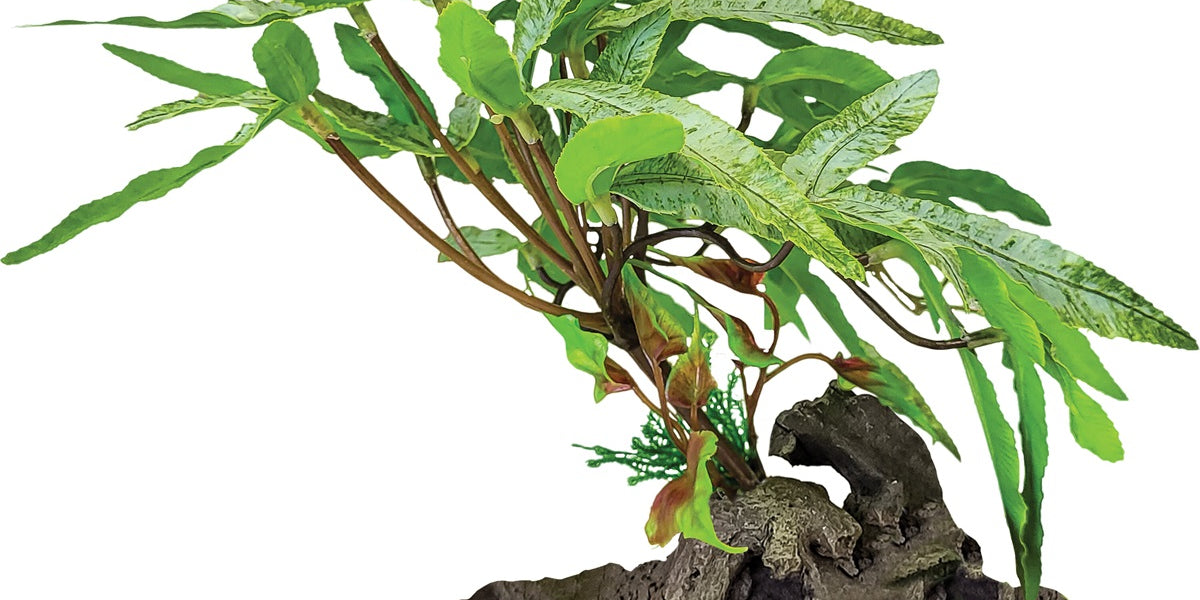 Repto Plant in Deco Three Tip Leaf — Aquariumplantenshop