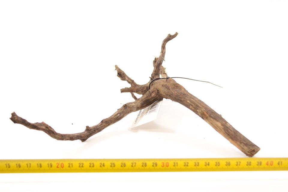 Scaper Root S 4 - Aquarium & Terrarium — Aquariumplantenshop