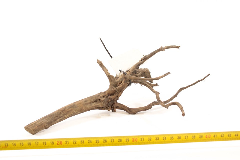 Scaper Root S 6 - Aquarium & Terrarium — Aquariumplantenshop