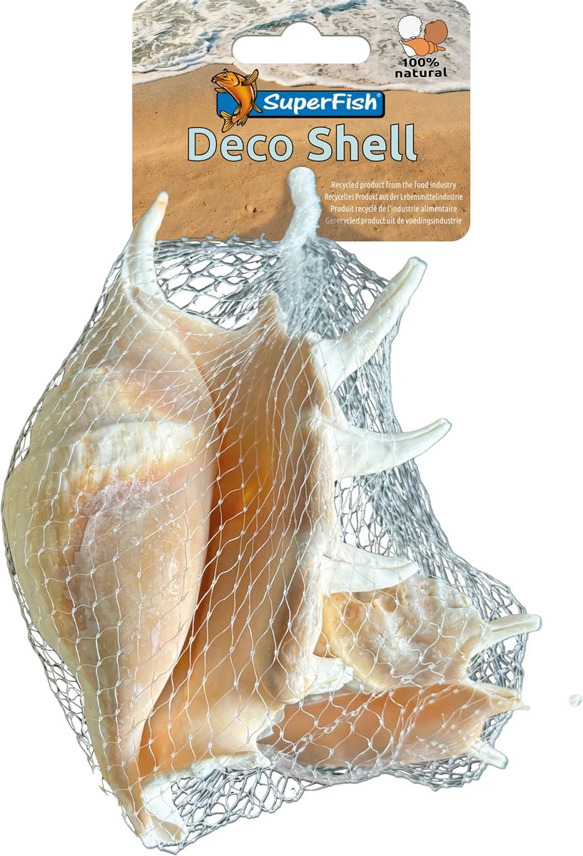 SuperFish Deco Schelp Spider — Aquariumplantenshop