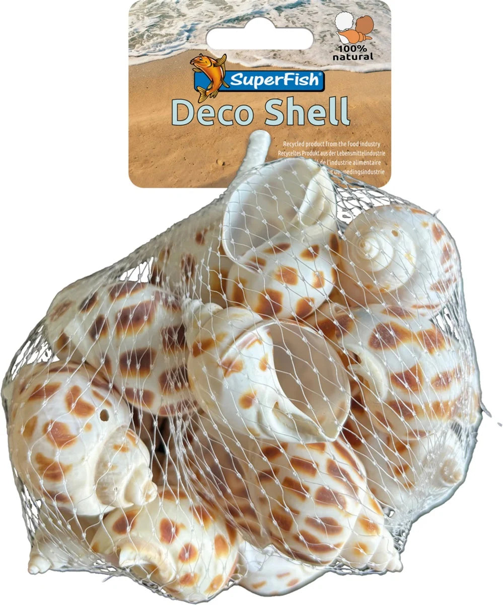 SuperFish Deco Schelp Spiraal Gestreept — Aquariumplantenshop