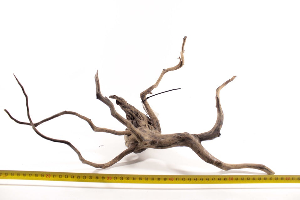 Scaper Roots - Aquariumdecoratie — Aquariumplantenshop