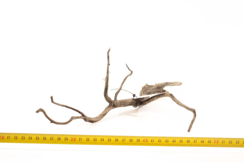 Scaper Roots - Aquascape - Aquariumdecoratie — Aquariumplantenshop