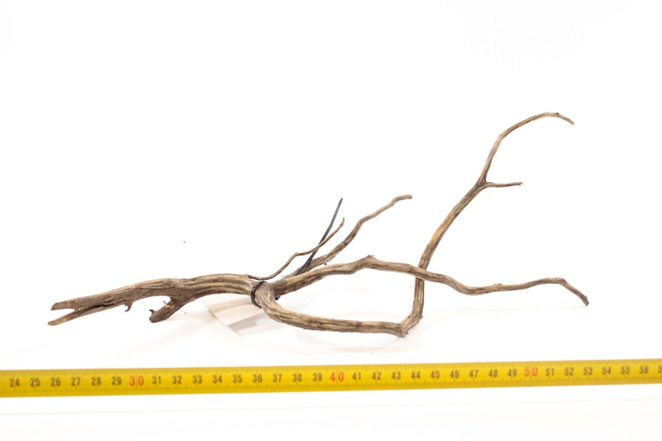 Scaper Roots - Aquascape - Aquariumdecoratie — Aquariumplantenshop