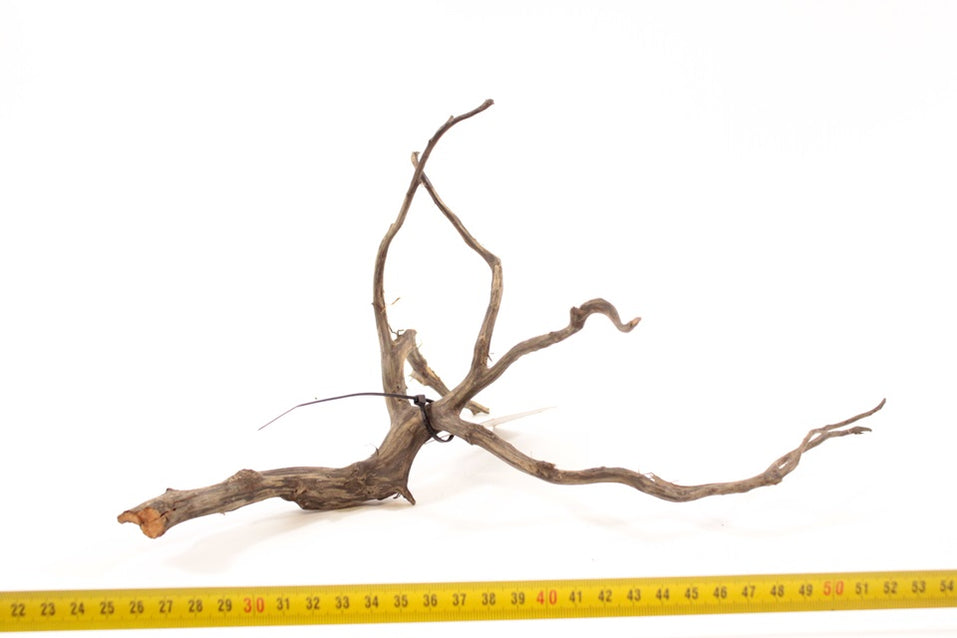 Scaper Roots - Aquascape - Aquariumdecoratie — Aquariumplantenshop
