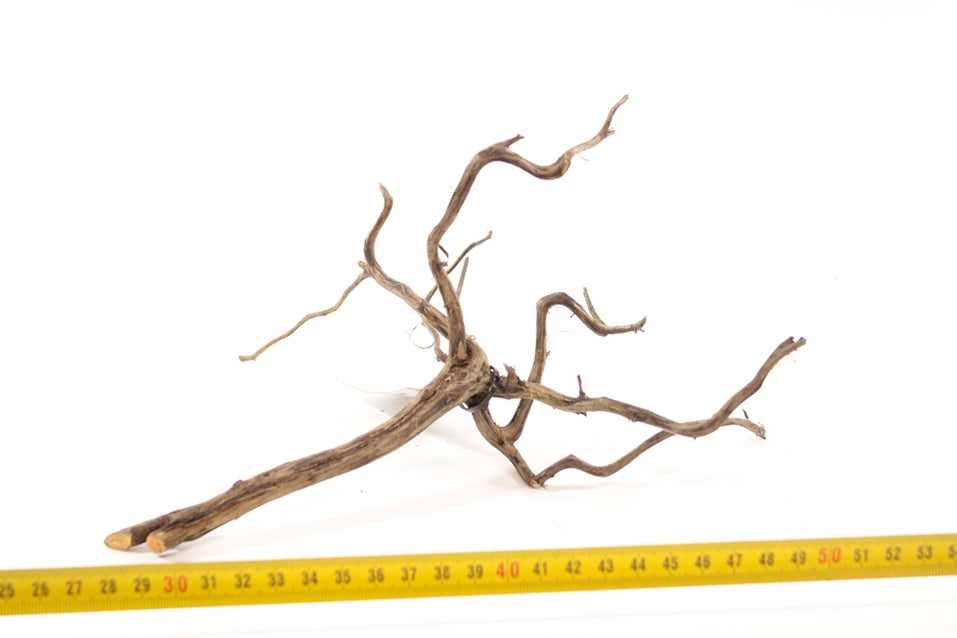 Scaper Roots - Aquascape - Aquariumdecoratie — Aquariumplantenshop