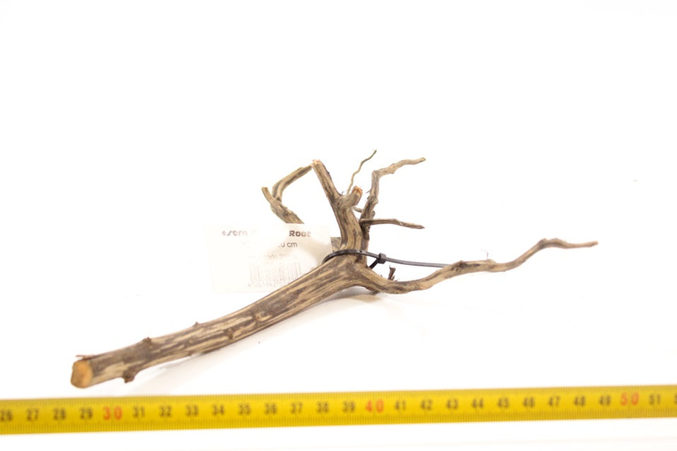 Scaper Roots - Aquascape - Aquariumdecoratie — Aquariumplantenshop